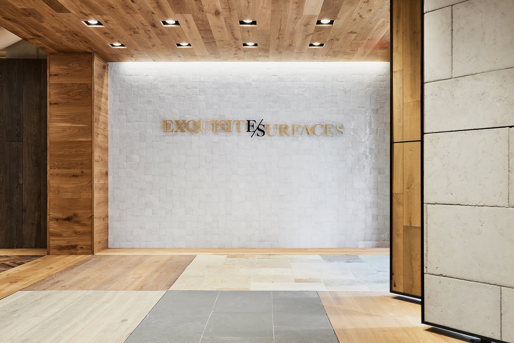 Exquisite Surfaces - Hoffman