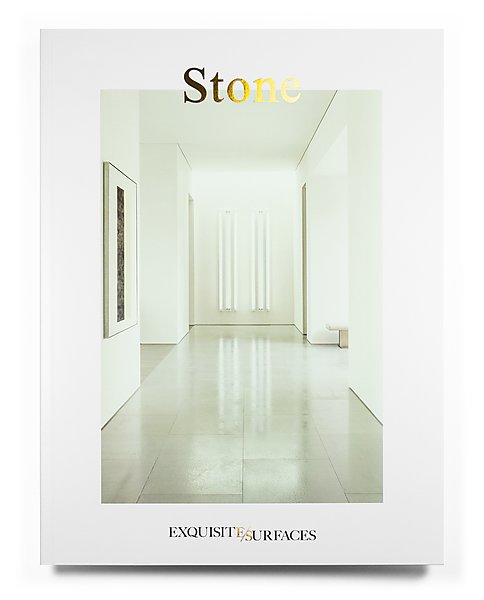 Exquisite Surfaces - Hoffman