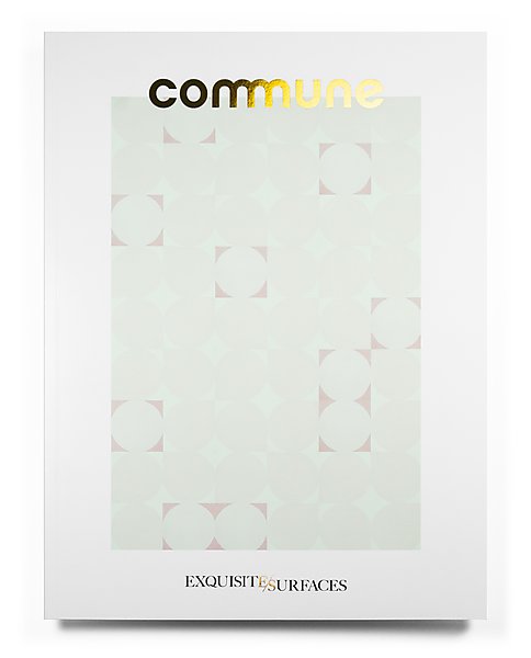 Exquisite Surfaces - Hoffman