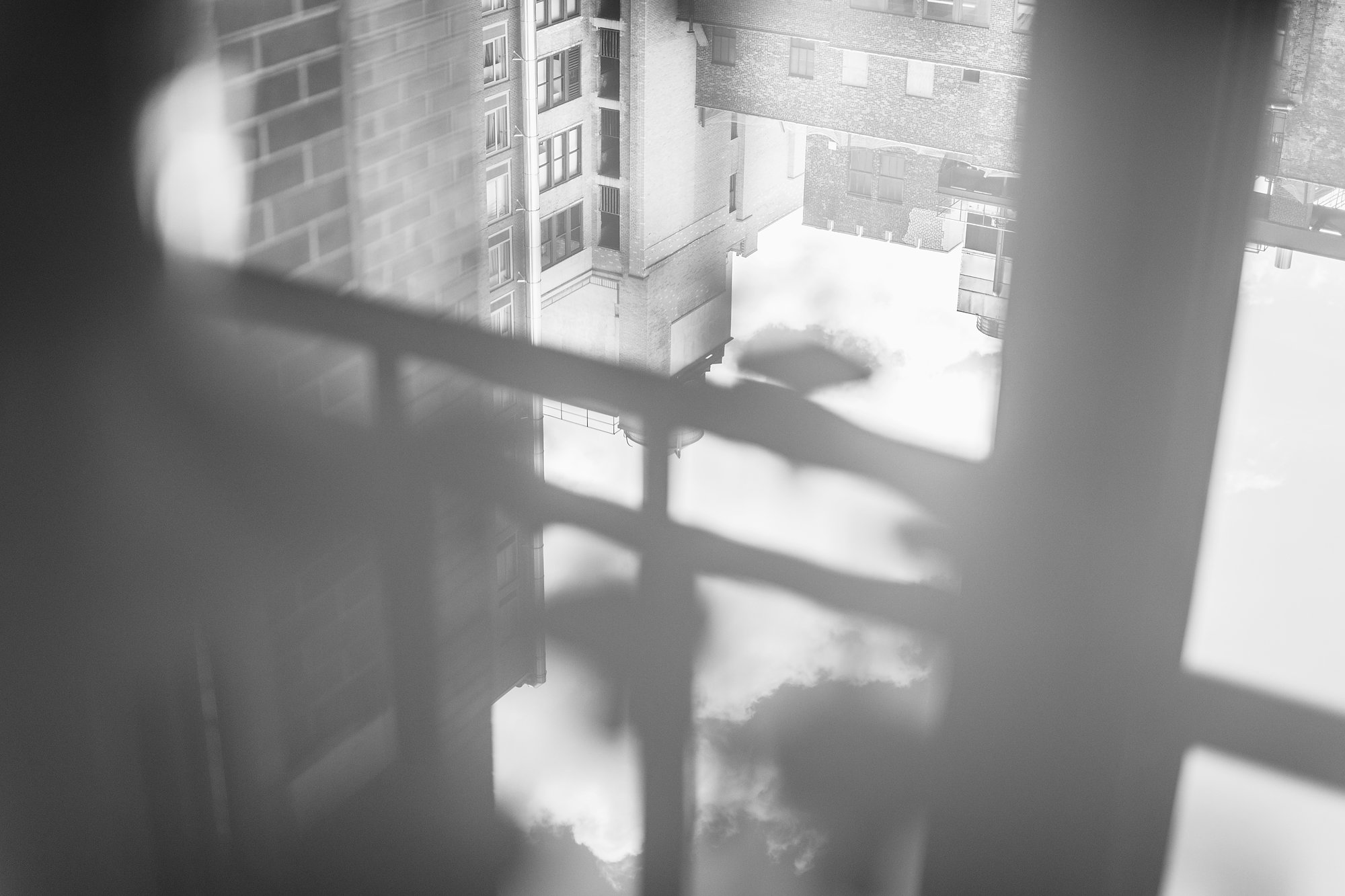 Studio Profile Hoffman